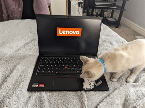 Cant Connect Thinkpad Hybrid Usb C With Usb A Dock R Lenovo