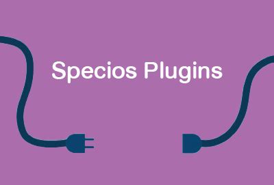 Plugins Others Coding At Babe