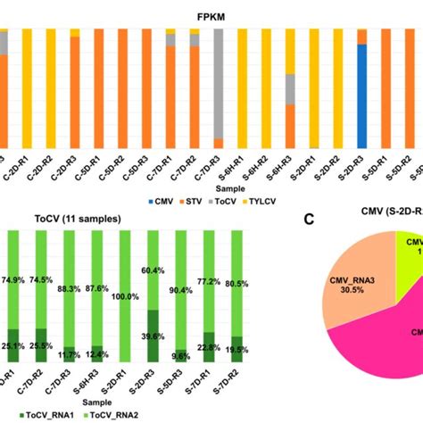 proportion of identified viruses in each sample based on fpkm values