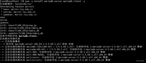 Linux下mysql的安装并测试成功liunx 怎么测试mariadb是否安装成功 Csdn博客