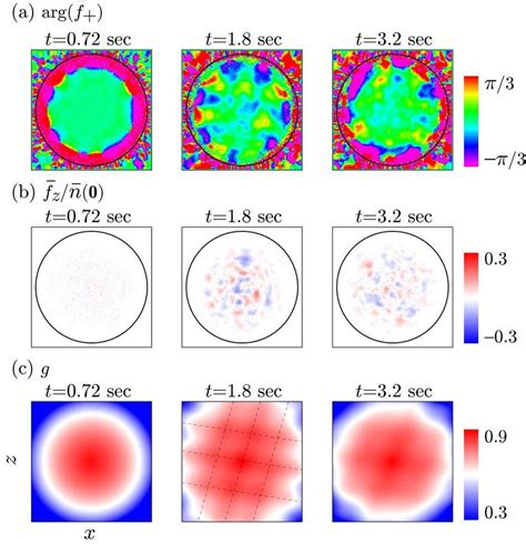 Color Time Evolution Of A The Transverse Magnetization B The Download Scientific Diagram