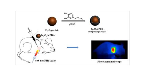 Polydopamine Coated Magnetic Composite Particles With An Enhanced Photothermal Effect Acs