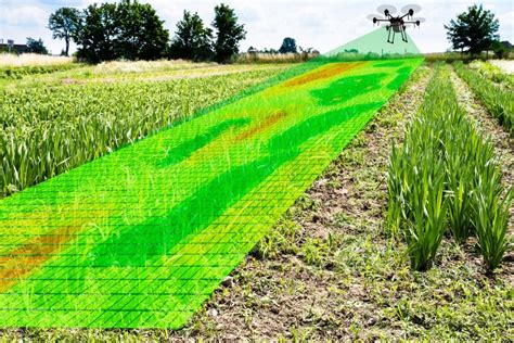 Guaranteed Lidar Annotation Services India