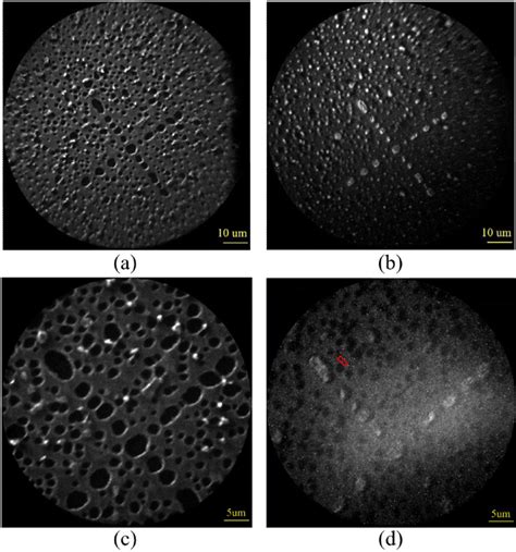 Peem Image Of The Au Sample Irradiated By A Hg Lamp Fov 100 μm Download Scientific