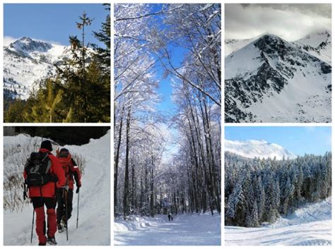 В планината през зимата ЕКО РАЗЛОГ