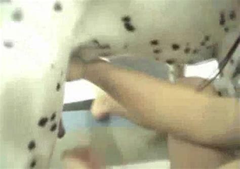 Dalmatian Enjoys A Handjob Prior To Hard Sex