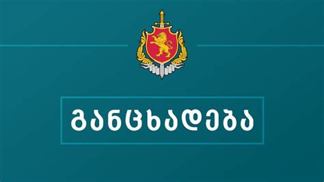 შსს აქციებზე ადმინისტრაციული ბრალდებით 293 პირი დააკავეს სისხლის სამართლის — 5 ადამიანი