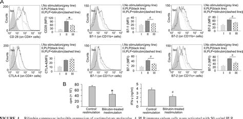 Figure 3 From Bilirubin Possesses Powerful Immunomodulatory Activity And Suppresses Experimental