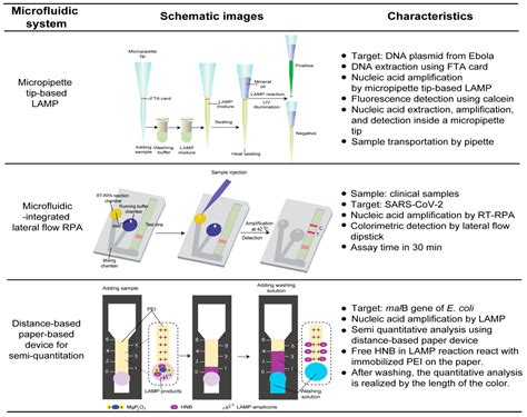 Advances In Nucleic Acid Amplification Based Microfluidic Devices For