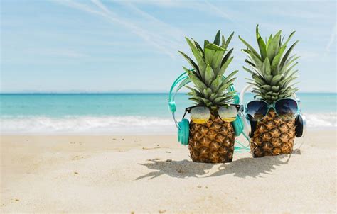 Cute Pineapple Beach Wallpapers On Wallpaperdog