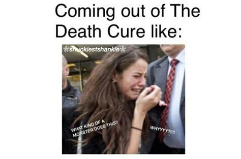 Questo è il territorio delle Newtmas shipper COMPLETATA fanfiction Fanfiction amreading