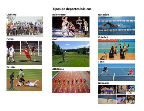 Tipos De Deportes Básicos Pdf