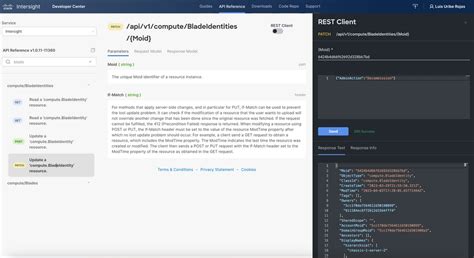 Troubleshoot Actions On IMM Servers Through Intersight API Requests Cisco