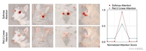 Efficientvit Multi Scale Linear Attention For High Resolution Dense Prediction精读 Csdn博客