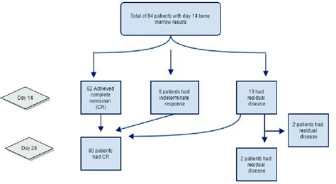 Hematology Disease Flow Chart Differential Algorithm For The Causes Of