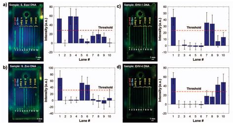 Figure 4 From Multiplexed Detection Of Infectious Diseases With
