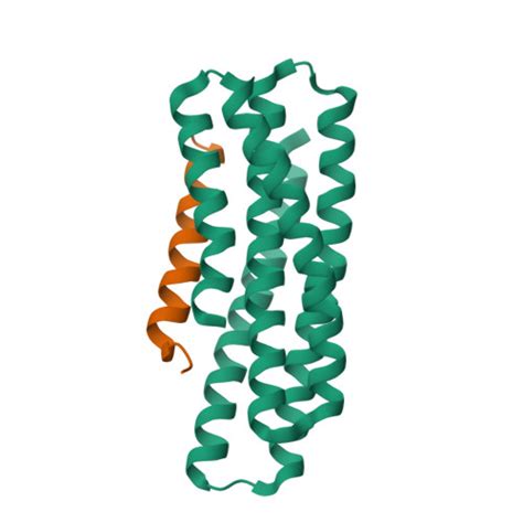 De Novo Design Of High Affinity Binders Of Bioactive Helical Peptides Necat