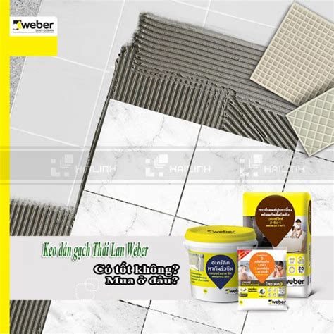 Keo Dán Gạch Thái Lan Weber Có Tốt Khôngmua ở Dâu