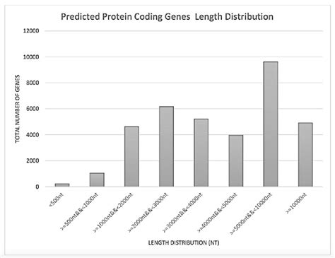 Distribution Of Predicted Protein Coding Gene Lengths D Melanogaster Download Scientific