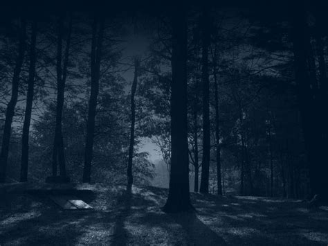 Dark Forest Evil Eric Hasslehoff Dark Picture Lover Of Darkness