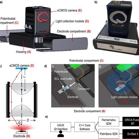Microarray Type Sr Eclia 3 Plex Protocol A Schematic Representation Download Scientific