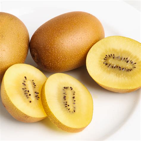 Sun Gold Kiwi 3 Pack