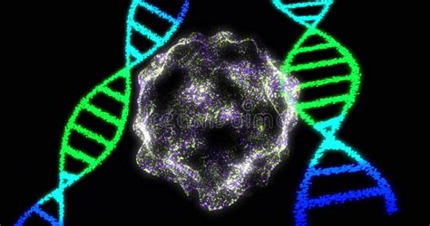 Dna Strands And Glowing Particle Structure Scientific Animation Stock Footage Video Of Helix