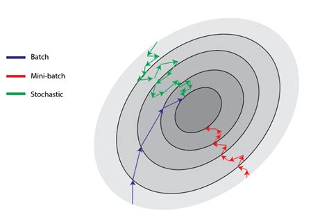 [ml] hyperparameter tuning learning rate and batch size