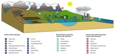 Remote Sensing Free Full Text Remote Sensing Of Surface Water Dynamics In The Context Of