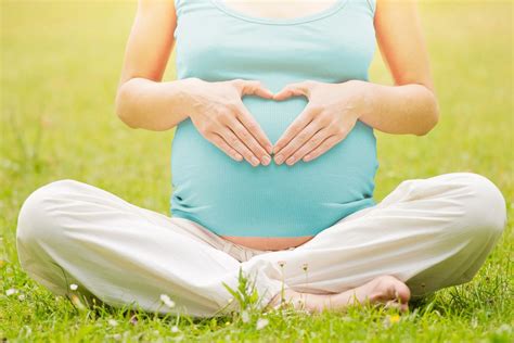 Pregnancy The Authoritative Guide 2026 Apa
