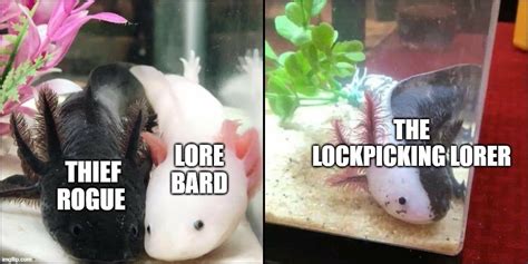 417 Best Multiclassing Images On Pholder Dndmemes Le Mans Ultimate