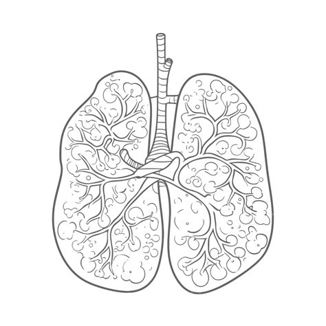 Tracheal Lesions Lesion Stenosis Injuries Thoracic Intubation Airway