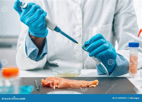 Food Safety And Quality Assessment Microbiologist Testing Poultry