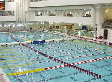 MIT Babes Learn To Swim Online