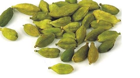Cardamom When And How To Harvest Cardamom