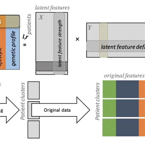 Architecture Of Multi Modal Data Fusion Combining Imaging And Download Scientific Diagram