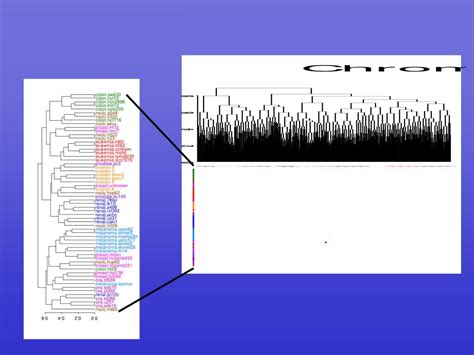 Ppt Biology Driven Clustering Of Microarray Data Powerpoint