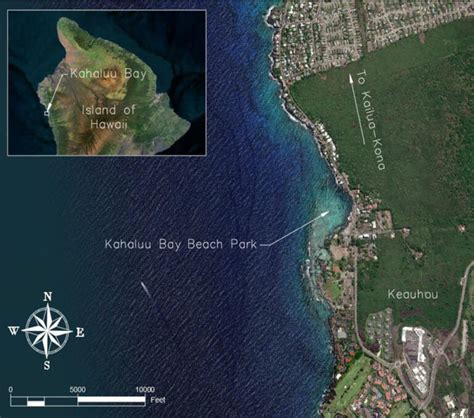 Discover Kahaluu Beach Park A Stunning Bay Of Surf Snorkeling And