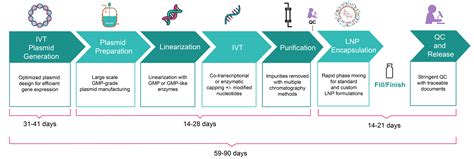 Vectorbuilder Revolutionizing Gene Delivery