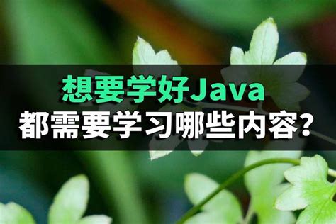 想要学好java都需要学习哪些内容？ 知乎