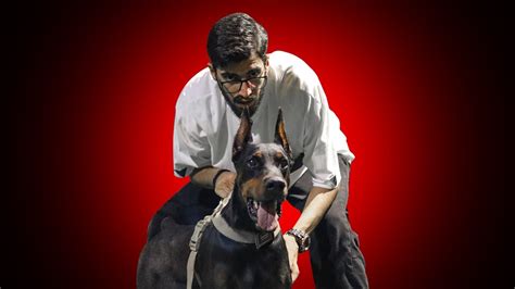 معرفی سگ دوبرمن یکی از خطرناک ترین سگ های پلیس Youtube