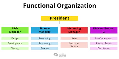 Classification Writing How To Group Ideas Effectively