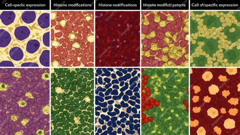 Vibrant Microscopic Images Showcasing Various Cell Structures And Patterns Premium Ai