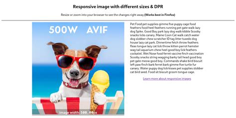 GitHub ShivamJoker Responsive Images How To Properly Use Images With Different Sizes