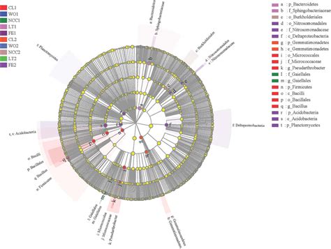 Linear discriminant analysis effect size (LEfSe) for Bacterial taxa... | Download Scientific Diagram