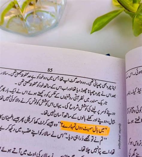 Novel ہمراہ تحریرزویاحسن قسطنمبر10حصہدوم اچھا۔۔۔ میں