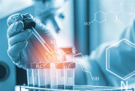 农产品检测 食品检测 水质检测 肥料检测 农药检测 饲料检测 宠物食品检测 赛如检测实验室 登记试验单位