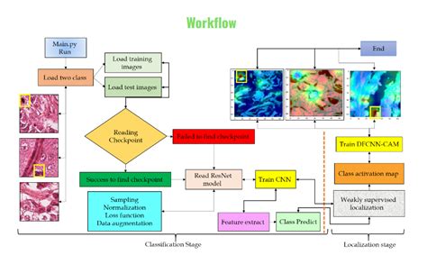 mitosis detection canada syntex machine learning