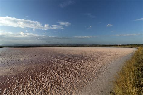 Солта на Живота. Разходка в бургаските солници - Сн. 51 Фото галерии ...