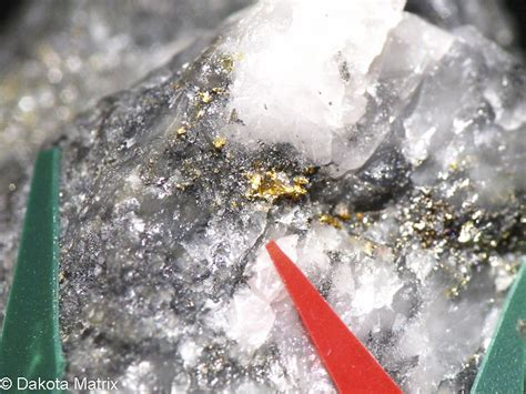 Gold Mineral Specimen For Sale